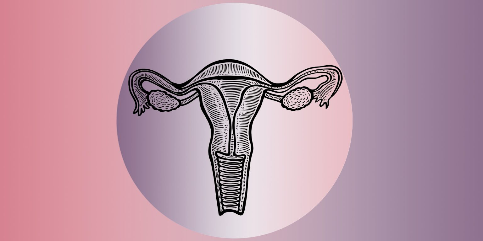 Uterine Problems: The 3 Diseases That Affect The Uterus.